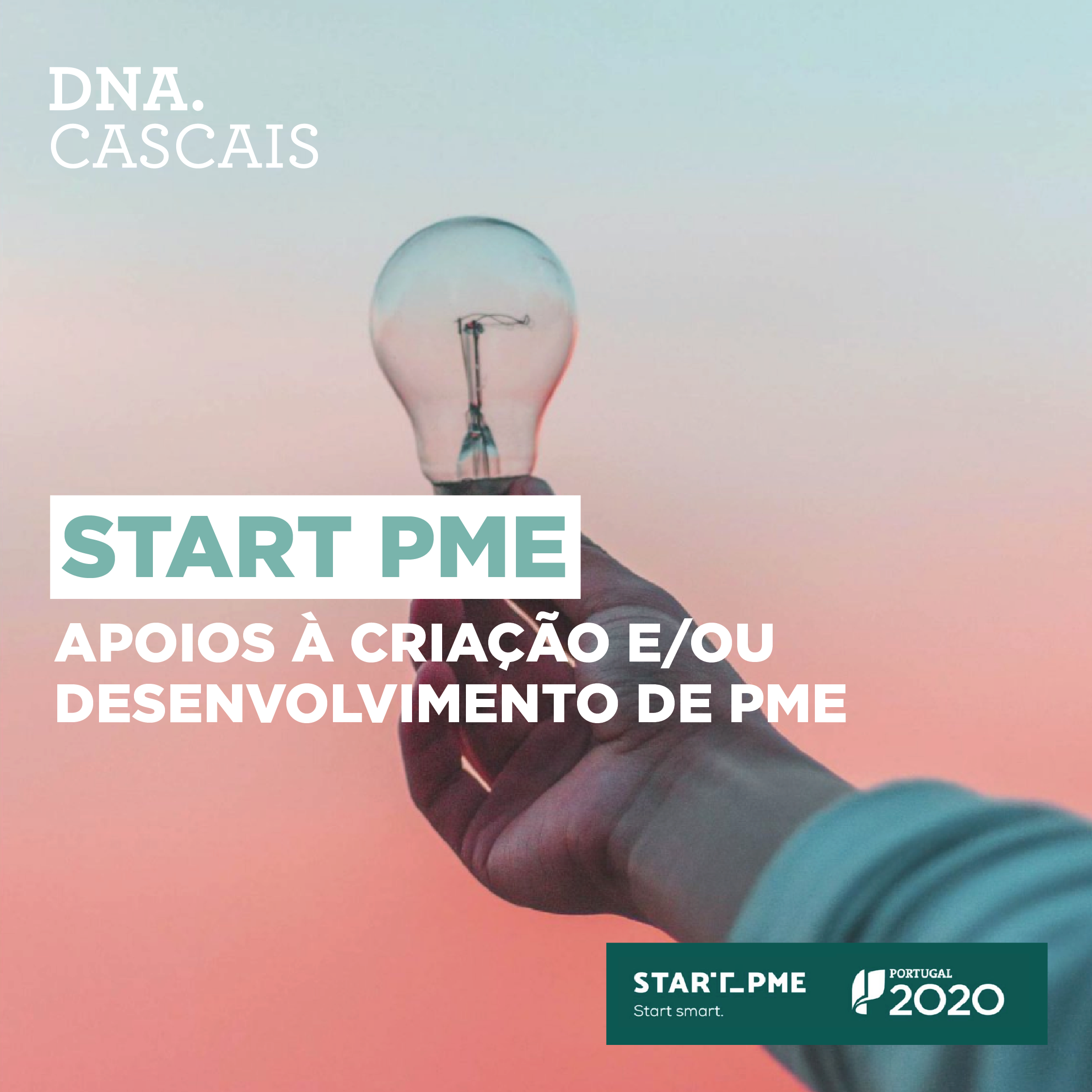 START PME | APOIOS À CRIAÇÃO E DESENVOLVIMENTO DE PME | DNA Cascais